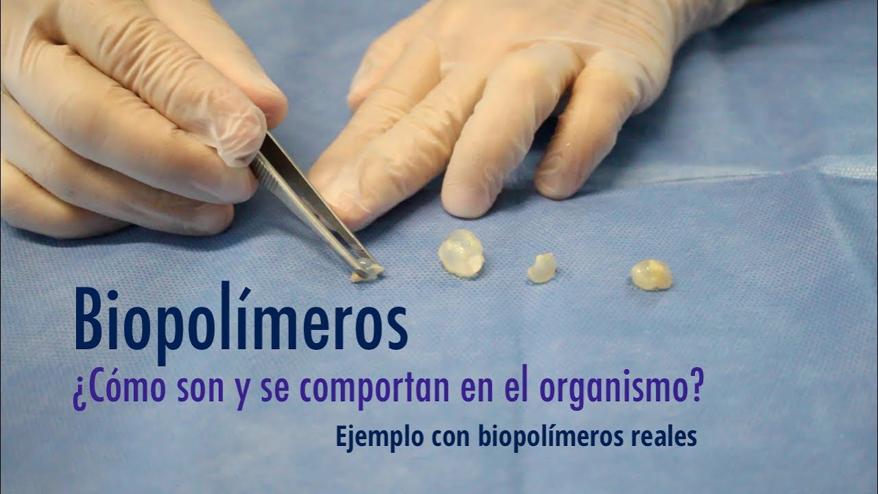 Biopolímeros Capítulo 2: Cómo son y se comportan en el cuerpo. Ejemplo ...